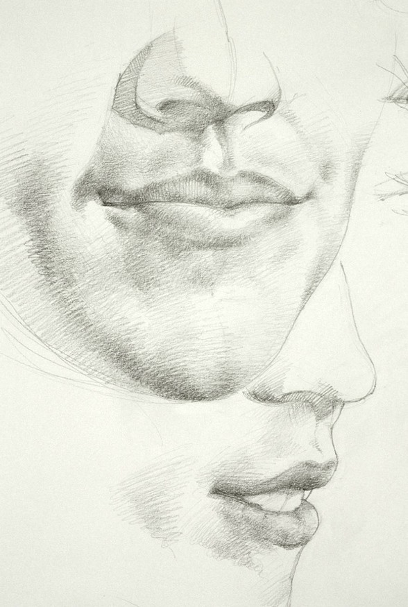 Mouth Studies | Anthony J. Ryder